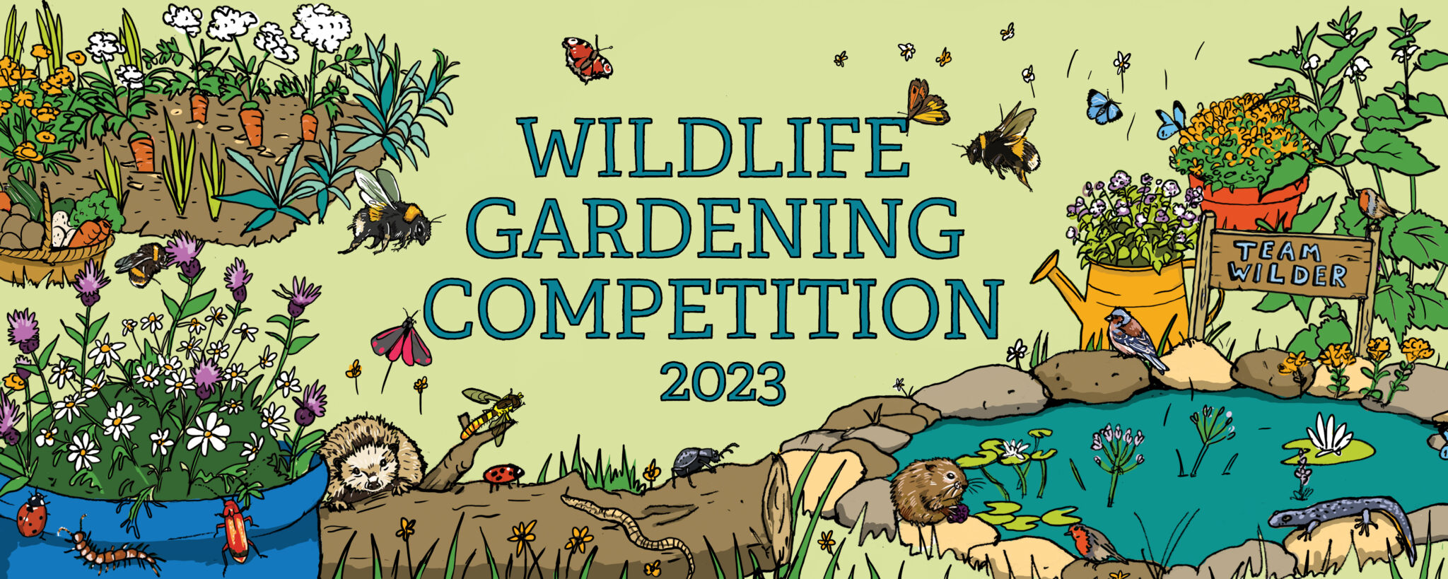Wildlife Gardening Competition - Horfield and District Allotments